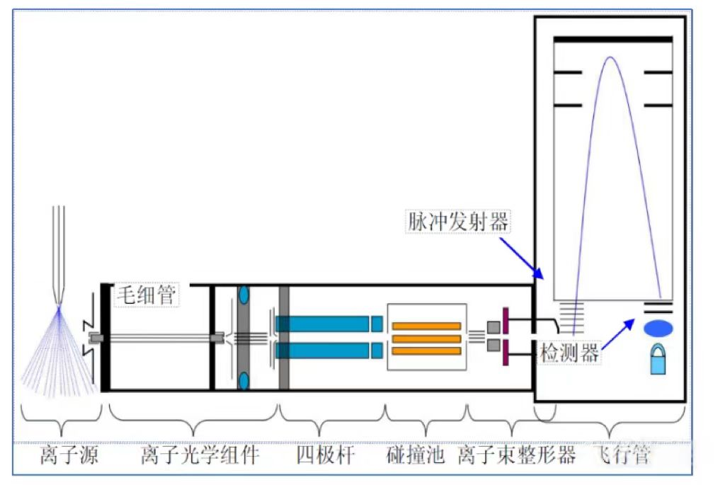 Q-TOF(四极杆飞行时间质谱仪) - 北京紫谱科技有限公司