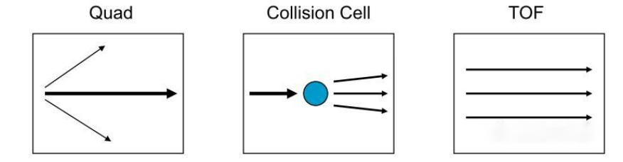 Q-TOF(四极杆飞行时间质谱仪) - 北京紫谱科技有限公司